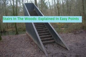 Polina Sitnova –International Model | Bio & Career Highlight