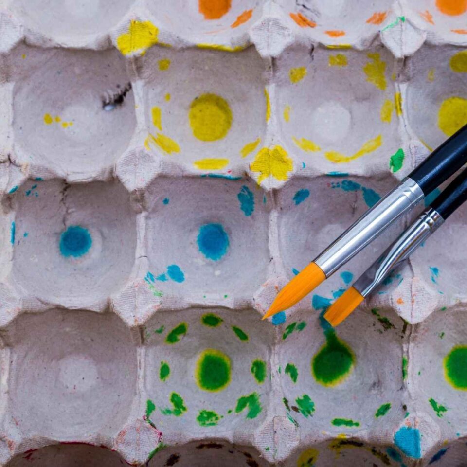 How-to-Use-Egg-Cartons | Info Captain