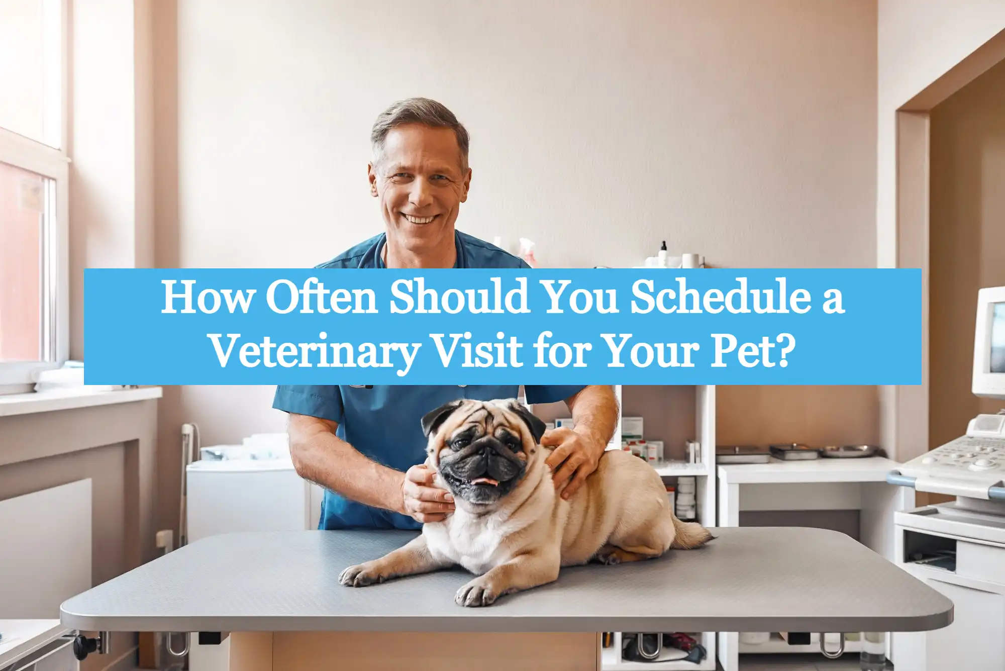 How Often Should You Schedule a Veterinary Visit for Pet?